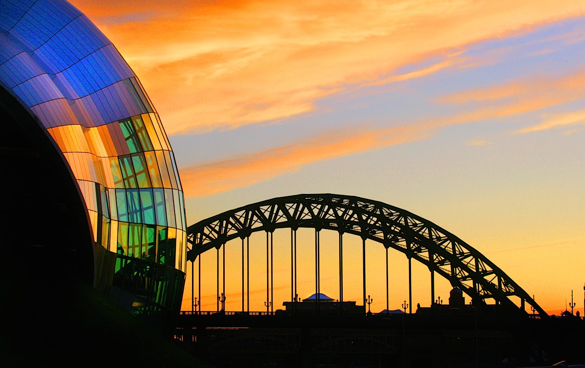 Home - TRUE NORTH - RESEARCH & POLICY